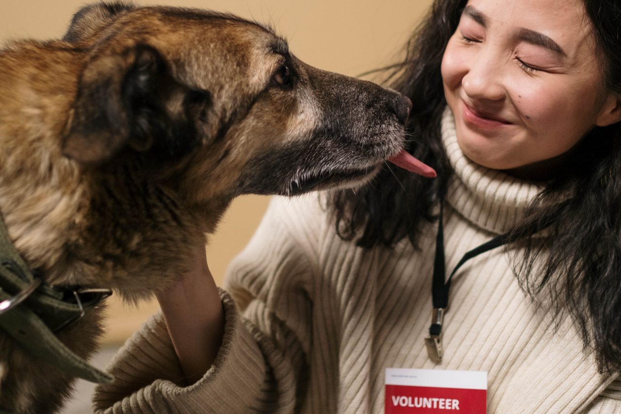 I want to volunteer - Southern Volunteering (SA) Inc.